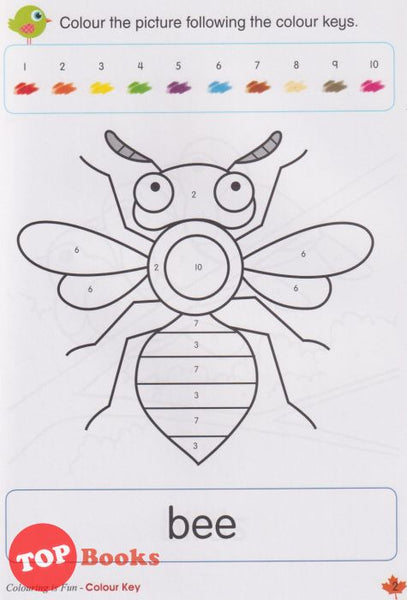 [TOPBOOKS Daya Kids] Colouring Is Fun Colour Key (2021)