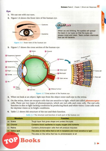 [TOPBOOKS Pelangi] Focus Science Form 3 KSSM DLP (2023)